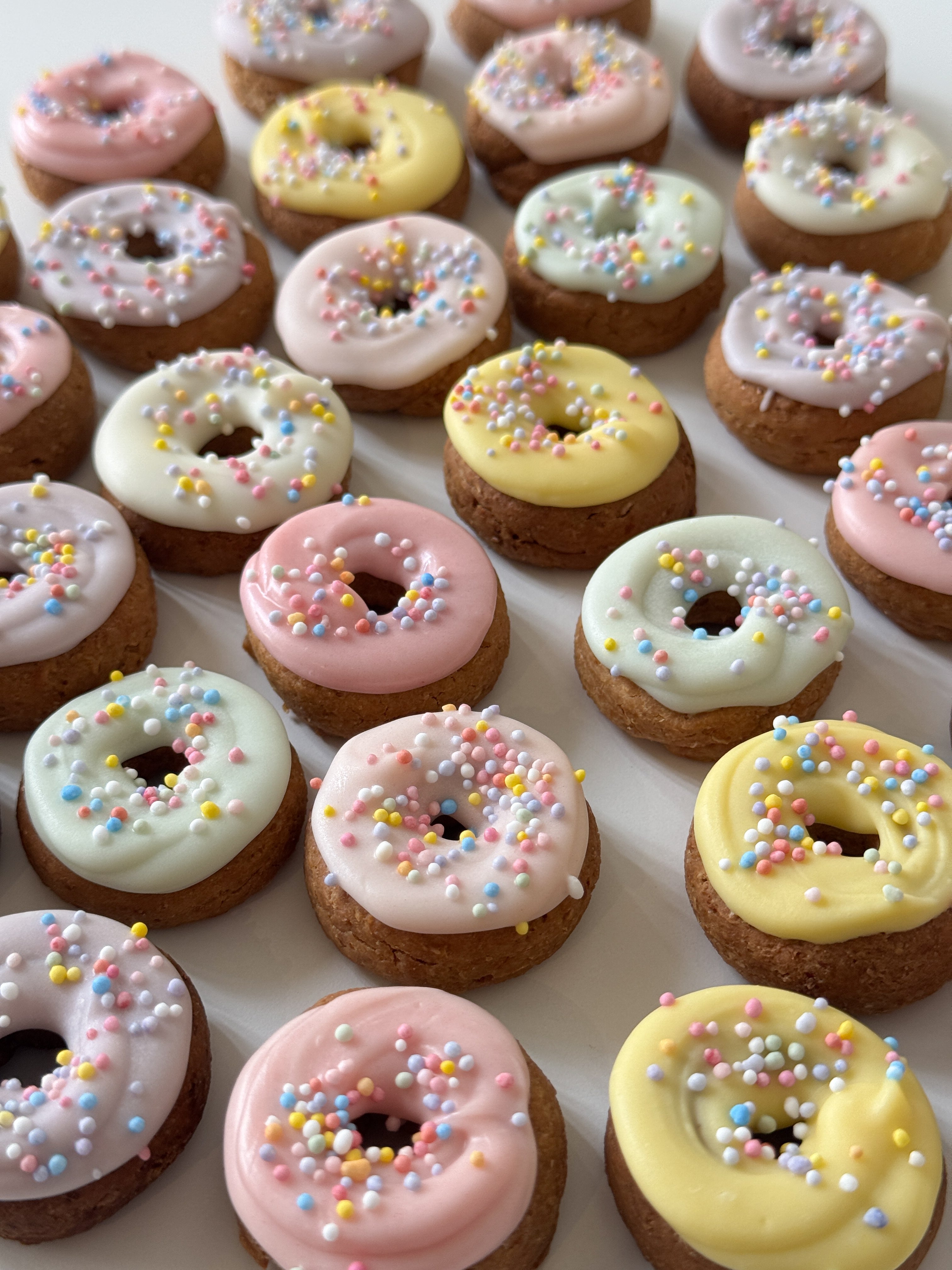 MINI DONUTS (220G) – The Organic Dog Co